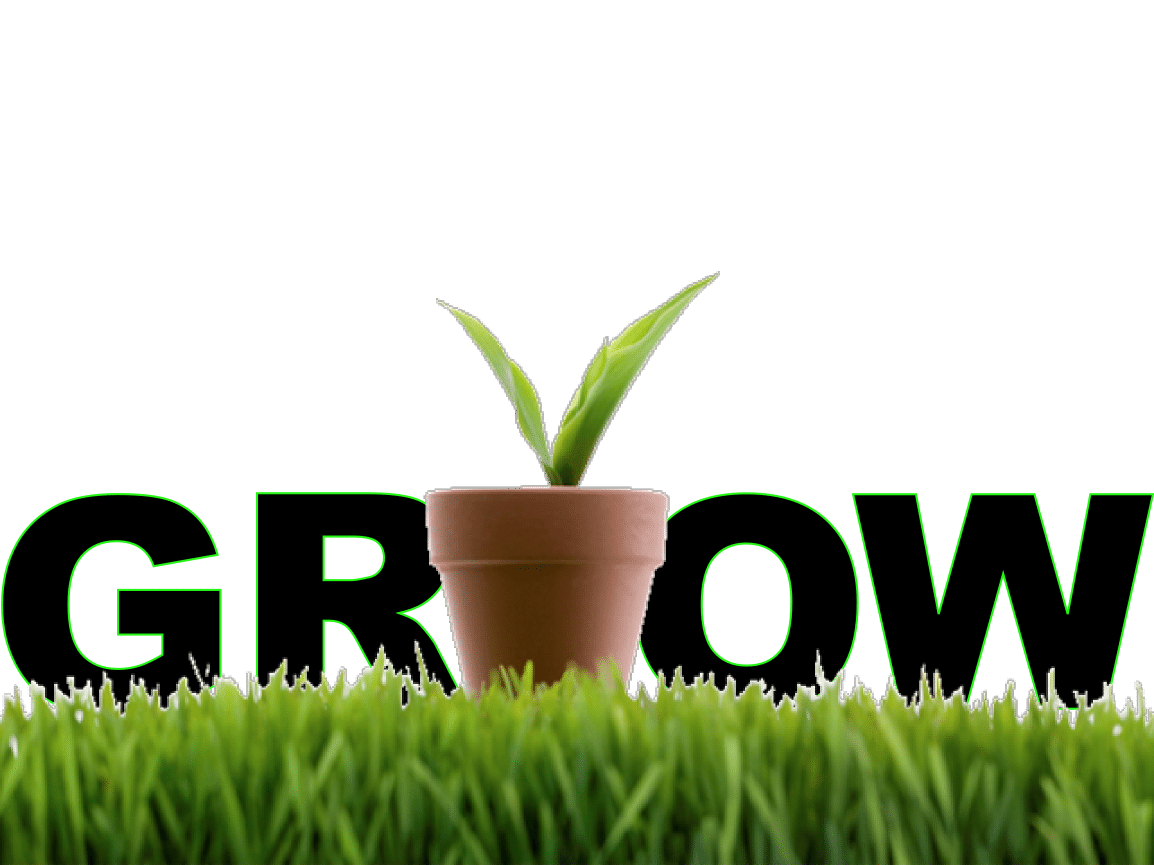 Grow In A Rapidly Expanding Market With Vestige | Channel Partner ...