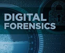 Overview of the Digital Forensic Process | Vestige LTD