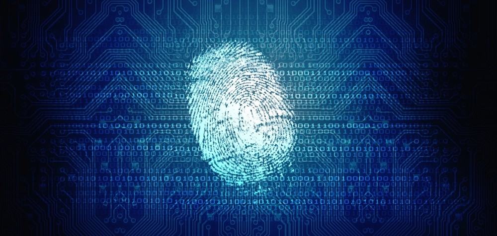 Digital Forensic Examination Services | Vestige LTD